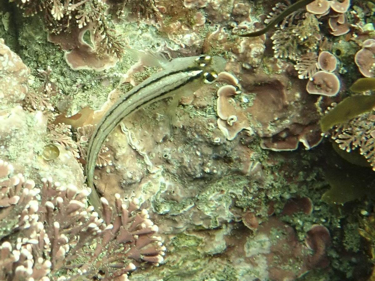 Scholarship – Friends of TMR